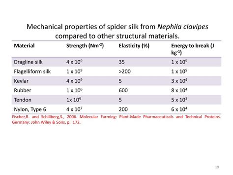 Ppt The Elaborate Structure Of Spider Silk Powerpoint Presentation