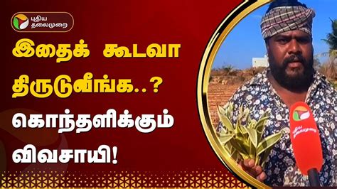 இதைக் கூடவா திருடுவீங்க கொந்தளிக்கும் விவசாயி Krishnagiri Theft