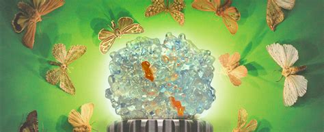 Contact Us Biologic Models