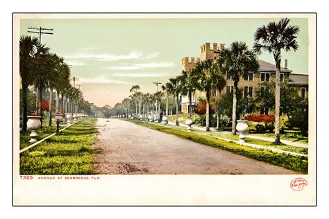 6 Vintage Florida Postcards Digital Download Florida Scenes 6” X 4