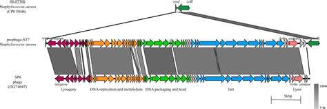 Livestock Associated Methicillin Resistant Staphylococcus Idr