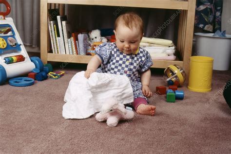 Object Permanence 3 Of 3 Stock Image C0280217 Science Photo