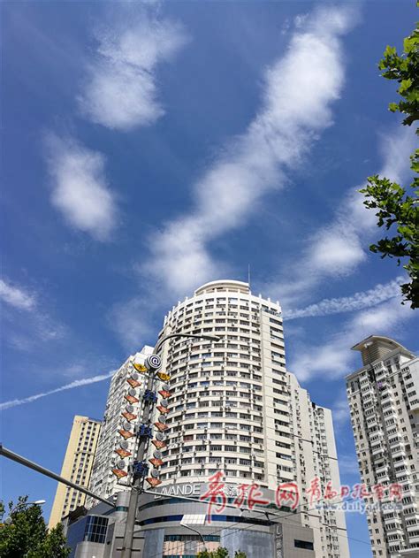 青岛蓝频现 白云朵朵棉花糖随口咬
