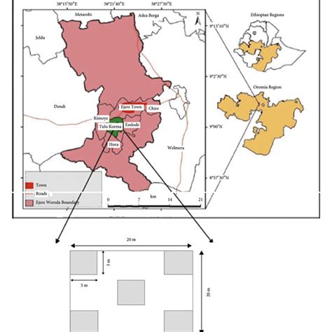 location map of tulu korma forest and ejere areas with sampling plot