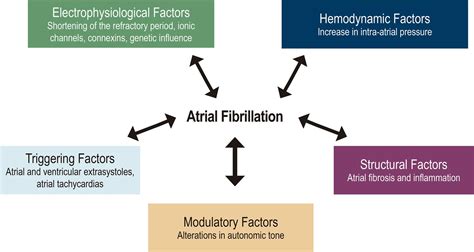 Atrial Fibrillation Part 1 Pathophysiology Risk Factors And