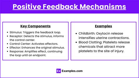 Unit 4 3 Cellular Responses And Feedback Mechanisms Notes Practice