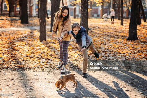 가을은 가족과 함께 걷는다 행복한 가족 어머니와 십 대 소년 아들은 가을 공원에서 코커 스패니얼 강아지와 함께 즐거운 시간을 보내고 있다 10 11세에 대한 스톡 사진 및