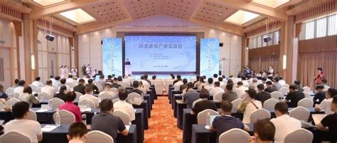 湖北冰雪产业交流会在荆州召开 奋力打造冰雪运动南展示范区发展翔驰雪板