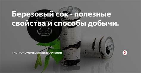 Березовый сок полезные свойства и способы добычи Гастрономическая