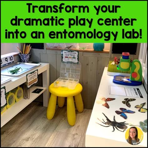 Preschool Bug Theme Entomology Lab Dramatic Play Center By Mskinderhop