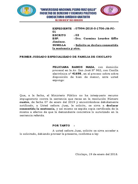 Modelo De Escrito De Solicitud Para Consentir Sentencia Y Expedir Copia
