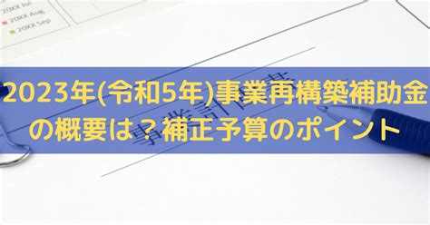 【最新】2023年令和5年の事業再構築補助金の概要は？補正予算のポイントを解説 株式会社トライズコンサルティング