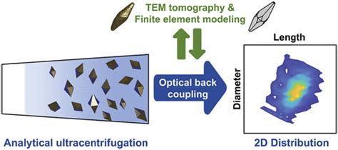 Determination Of 2d Particle Size Distributions In Plasmonic Nanoparticle Colloids Via