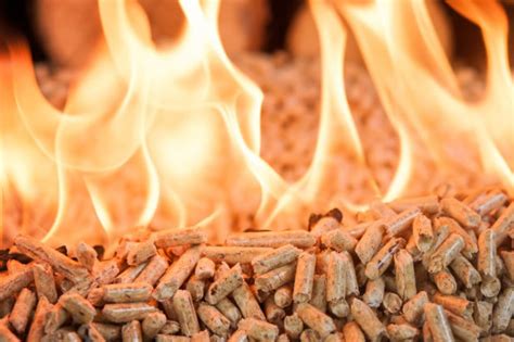 Biomasa Energía Limpia Renovable