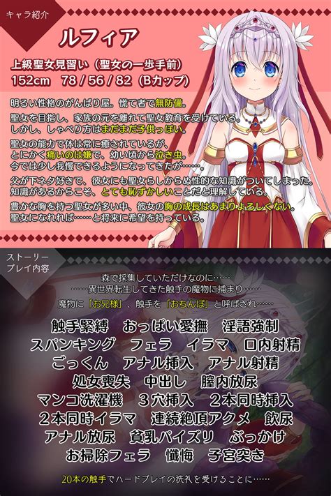 ～触手転生～ 聖女見習いを20本のおち〇ぽで虐めて、犯して、わから洗礼 Chemi Story Dlsite 同人 R18