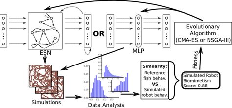 Methodology Workflow An Evolutionary Algorithm Is Used To Evolve The
