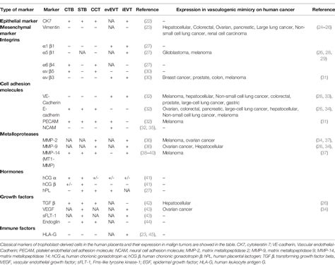Table 1 From Autophagy Process In Trophoblast Cells Invasion And