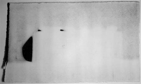 Ali Beheshti Legrandlarge