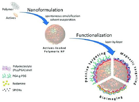 Scheme Of How To Prepare Pla Nanoparticles With Biodegradability And