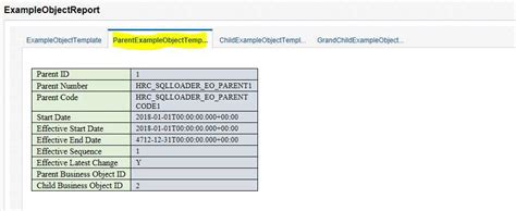 Getting Started With Inbound Integration Using Hcm Data Loader In