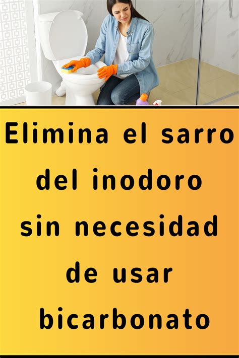 Elimina El Sarro Del Inodoro Sin Necesidad De Usar Bicarbonato Artofit