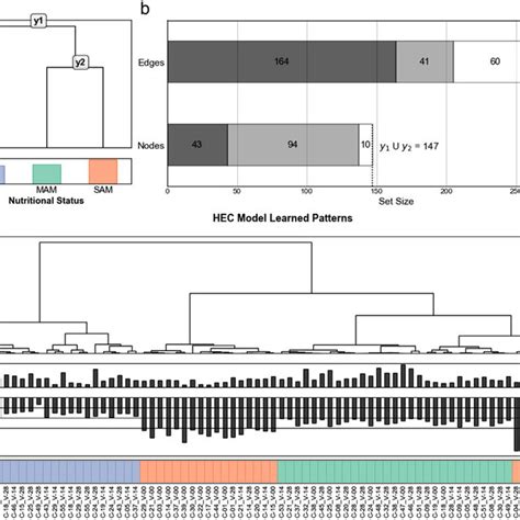 Hierarchical Classification Scheme For Phenotypes Using Sample Specific