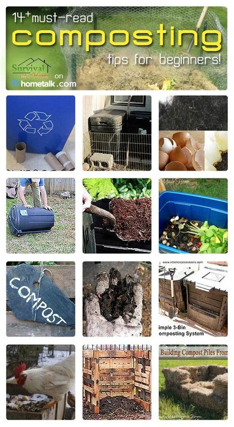 Must Read Composting Tips For Beginners Survival At Home Garden