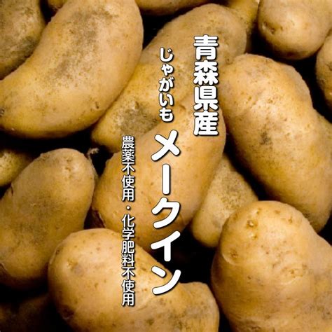 青森県産 じゃがいもメークイン 農薬不使用・化学肥料不使用 1袋約500g 畑からの贈り物きづファーム 通販 Yahooショッピング