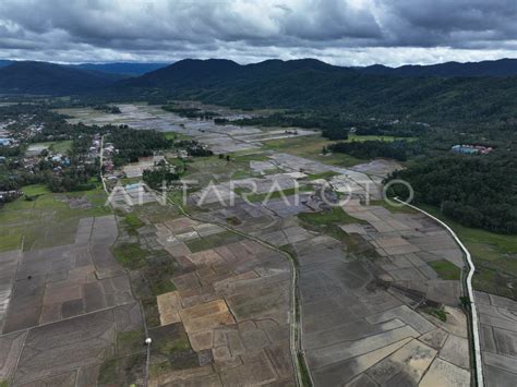 Pelarangan Alih Fungsi Lahan Pertanian ANTARA Foto