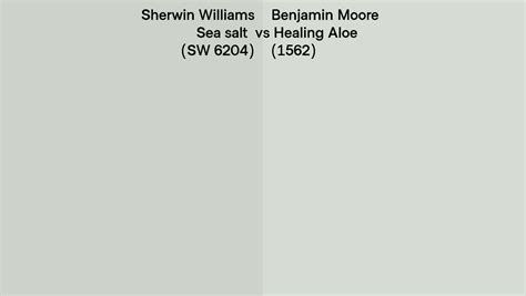 Sw Sea Salt Vs Bm Healing Aloe Healing Aloe Benjamin Moore Benjamin