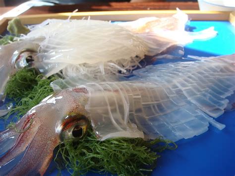 新鮮なイカの保存方法は冷蔵？冷凍？適切な下処理も解説！ Page 2 簡単男飯レシピ・作り方 Gohan