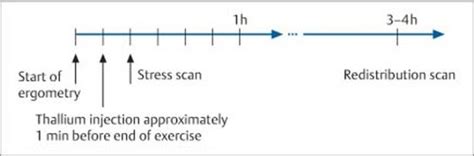Exam II Study Guide Flashcards Quizlet