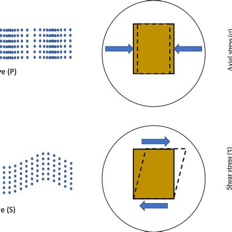The Propagation Of Seismic Waves P Wave And S Wave And Its