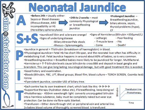 Neonatal Jaundice Almostadoctor
