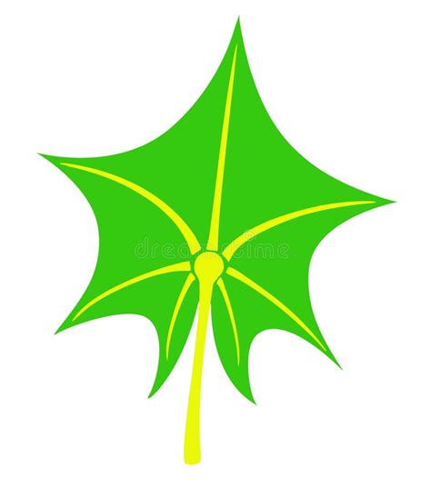 Tripinnate Leaf Stock Illustrations 10 Tripinnate Leaf Stock
