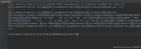 Xtermjs集成typescript实现终端操作回放，应用于审计监控typescripttiming 播放 Csdn博客