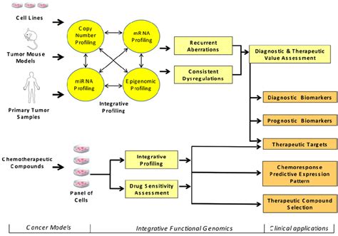 Schematic Representation Of The Different Aspects Of Integrative