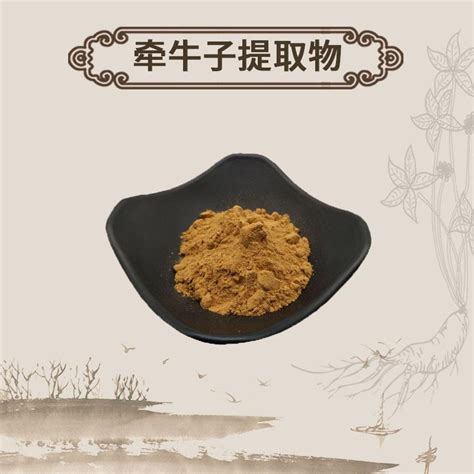 Buy Herb Tea Extract Powder Qian Niu Zi 牵牛子 Bai Chou White Semen