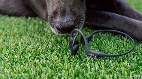 4 Reasons To Use Bone Conduction Headphones Over Wireless Earbuds