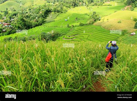 Woman Taking A Picture Of The Beautiful Landscape Of Large Grasslands