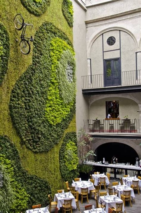 ESPACIO VIVO BENEFICIOS DE LA NATURACIÓN DE MUROS Y AZOTEAS