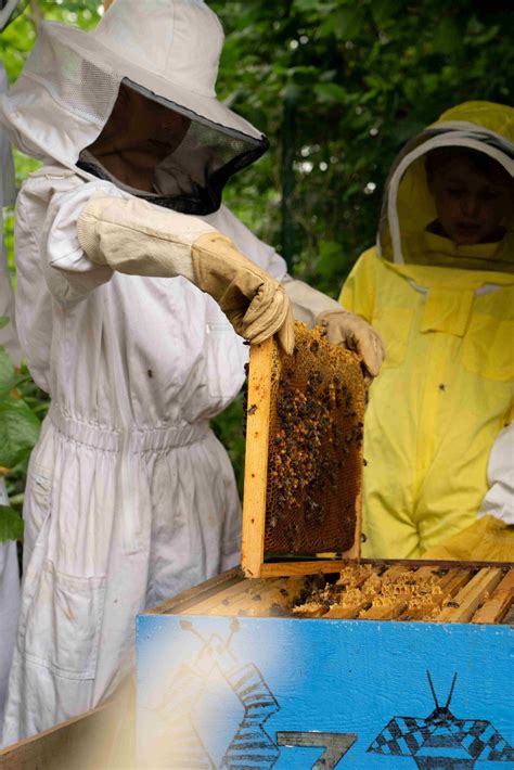 Découvrez l apiculture en duo avec votre enfant Wecandoo