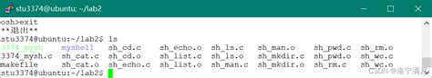【1】linux 命令环境下 C 语言实践用 Cc构造一个简单的 Shellc模拟shell Csdn博客