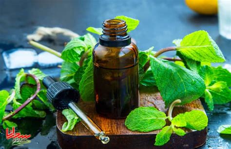 خرید روغن نعناع فلفلی اصل 30 میلی لیتر عطاری آنلاین سحرانا