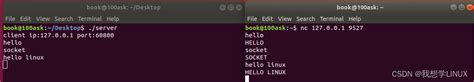 linux下的网络编程——网络基础、socket编程（一） 阿里云开发者社区