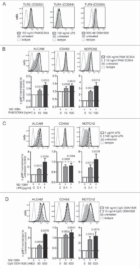 Activation Of Tlr Dependent Signaling Alters Cell Surface Expression Of