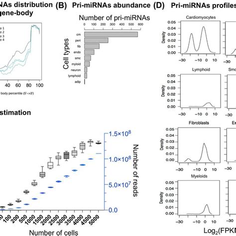 A Heatmap Summarizes Pri Mirnas Differentially Expressed Between