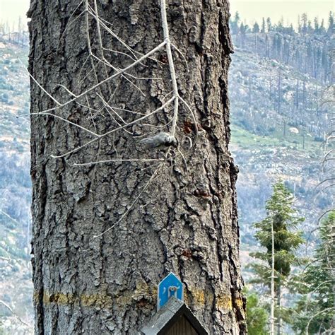 Samuel Morris Youtube