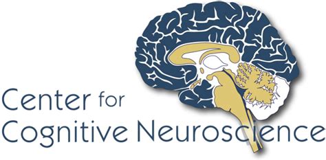 Fileccn Logopng Center For Cognitive Neuroscience