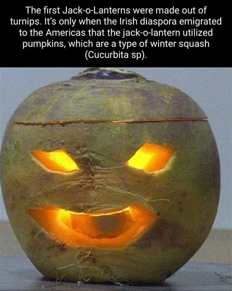 The First Jack O Lanterns Were Made Out Of Turnips Its Only When The